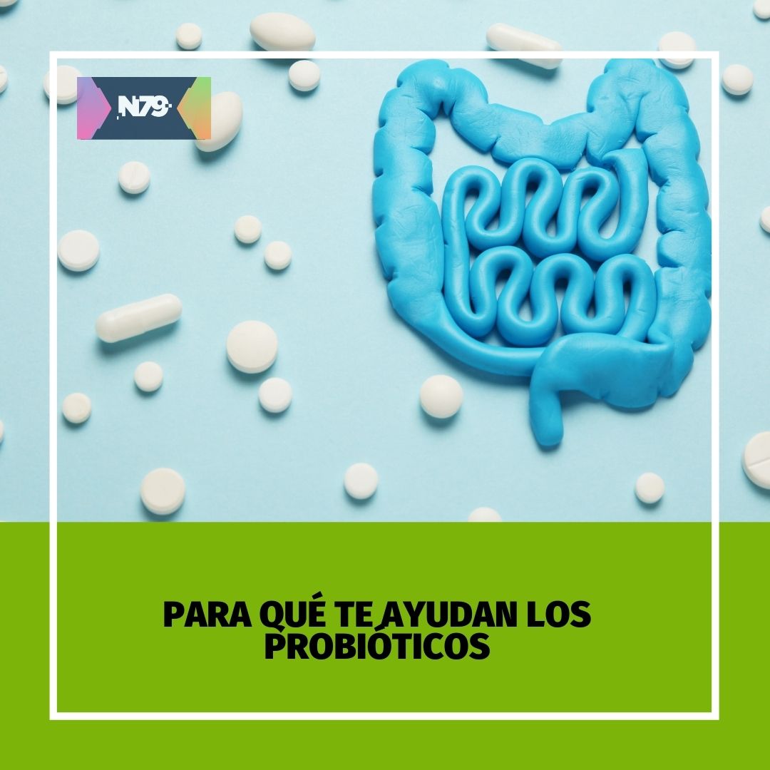 Para qué te ayudan los probióticos