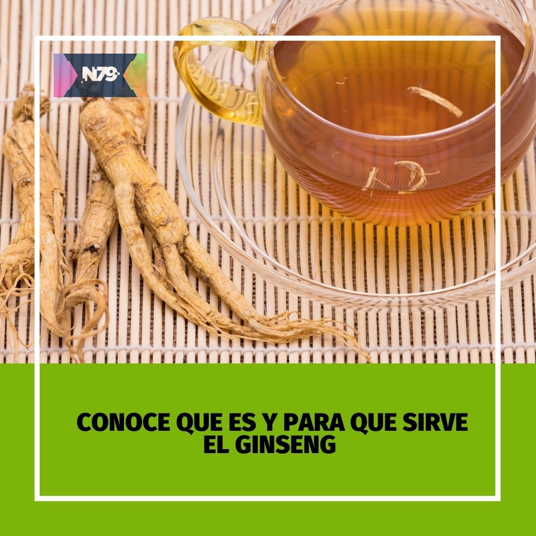 Conoce que es y para que sirve el ginseng